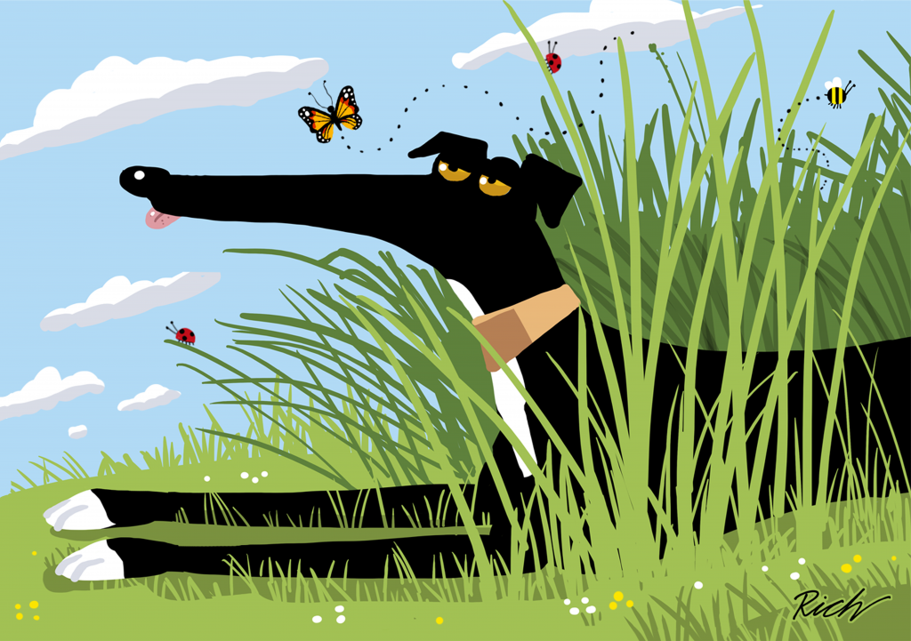 Richard Skipworth Four Seasons Cards – Olivia Mae Creations