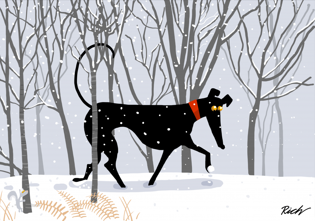 Richard Skipworth Four Seasons Cards – Olivia Mae Creations